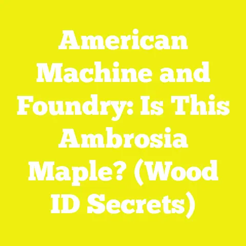 American Machine and Foundry: Is This Ambrosia Maple? (Wood ID Secrets)