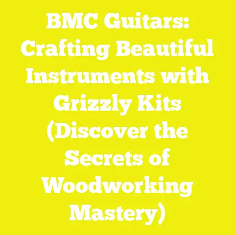 BMC Guitars: Crafting Beautiful Instruments with Grizzly Kits (Discover ...