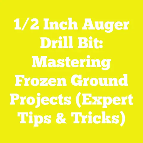 1/2 Inch Auger Drill Bit: Mastering Frozen Ground Projects (Expert Tips ...