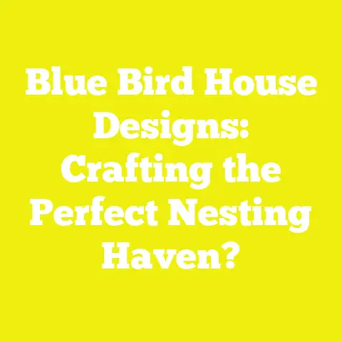 Blue Bird House Designs: Crafting the Perfect Nesting Haven?