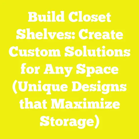 Build Closet Shelves: Create Custom Solutions for Any Space (Unique ...