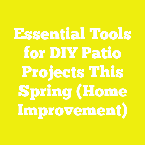 Essential Tools for DIY Patio Projects This Spring (Home Improvement)